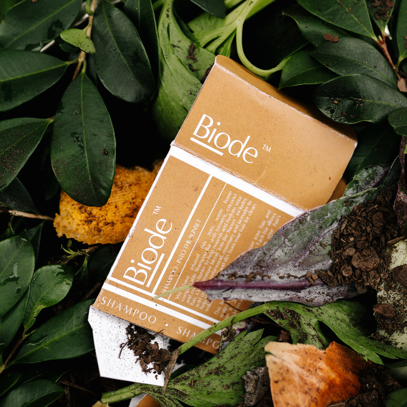Waste Free Body Care with Biode | Shampoo Bars + Natural Deodorant